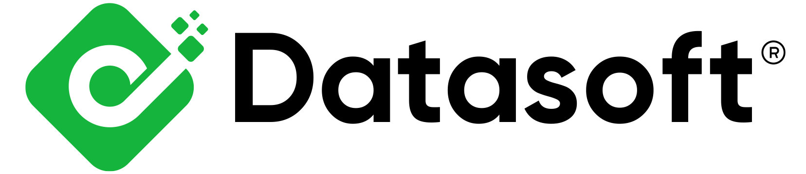 Datasoft Ön Muhasebe